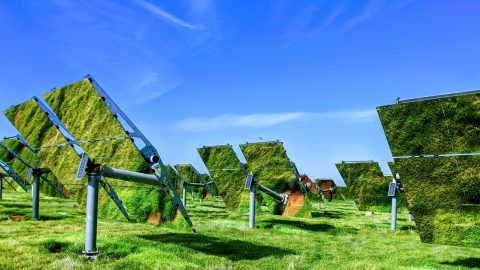 About | Renewable Energy Storage | Solar Power Technology | RayGen