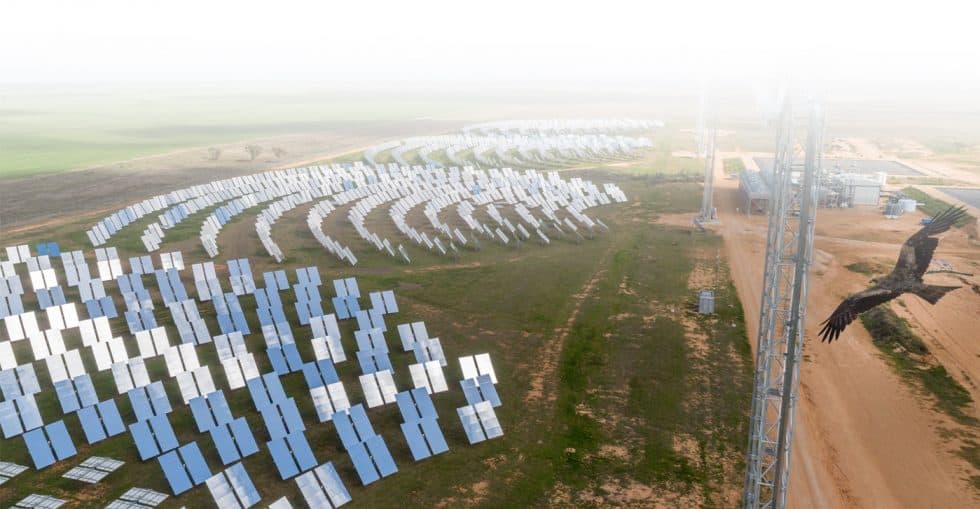 Renewable Energy Storage | Solar Power Technology | RayGen | We're ...