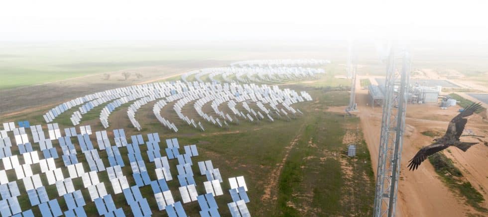 RayGen’s dispatchable Solar Power Plant receives funding from ARENA ...